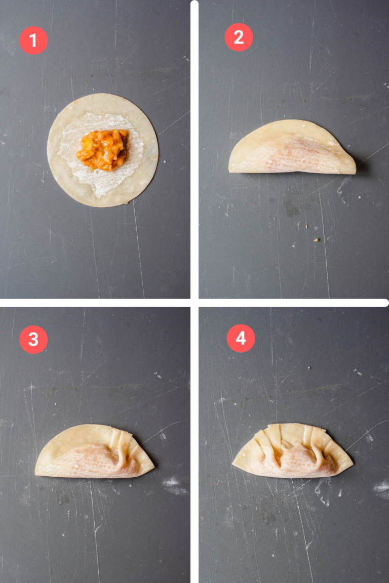 Crispy Chicken Gyozas