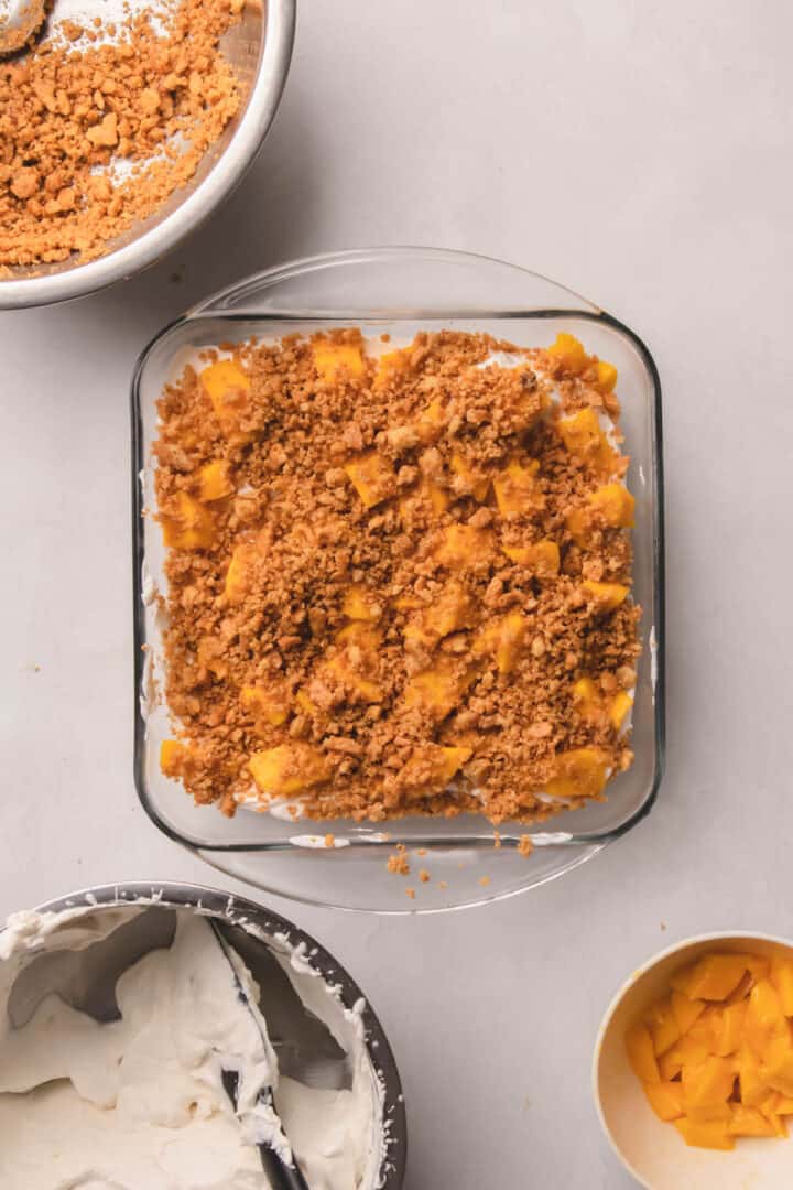 Filipino Mango Graham Float